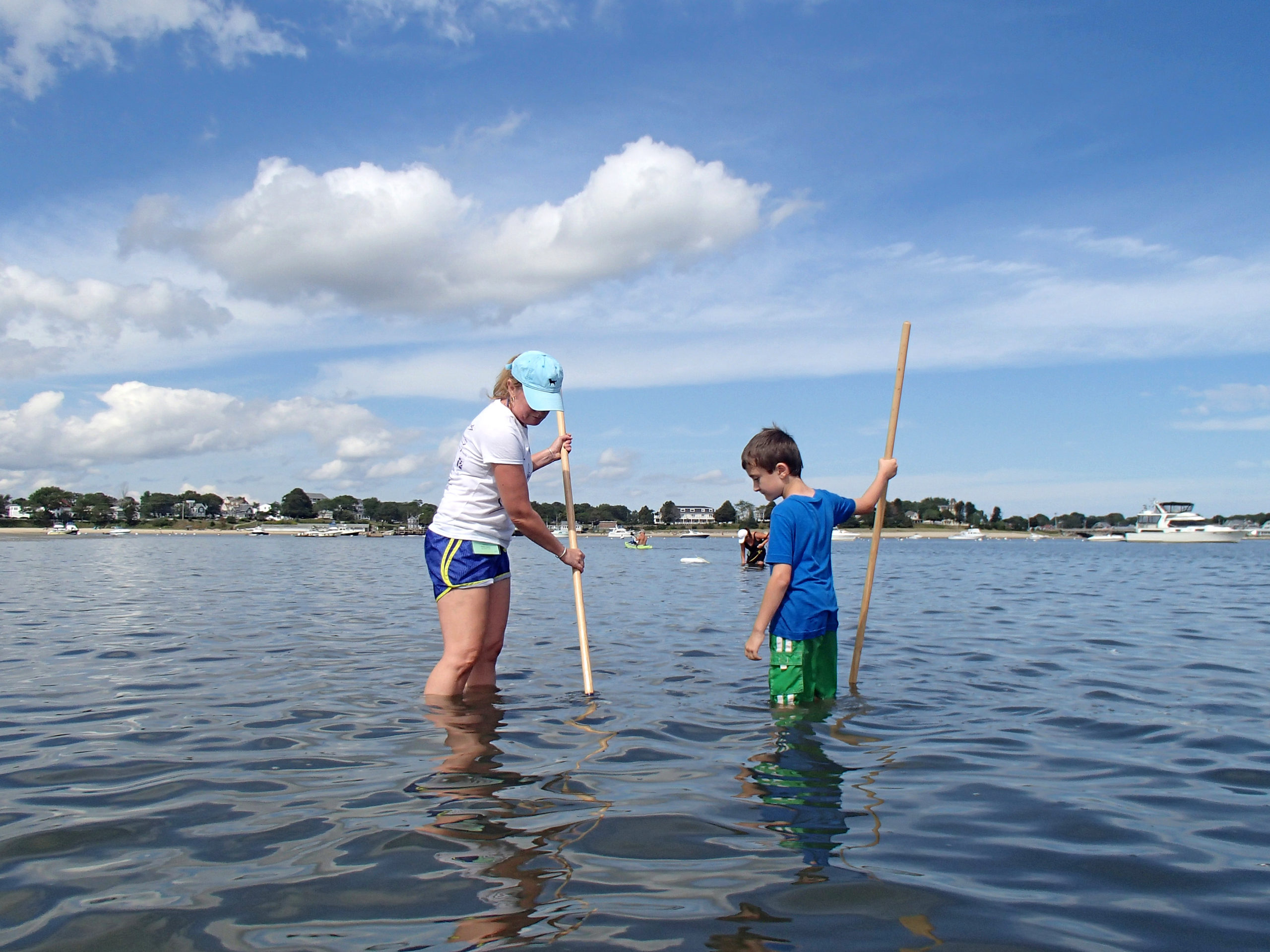 How to dig for quahogs in Buzzards Bay - Buzzards Bay Coalition