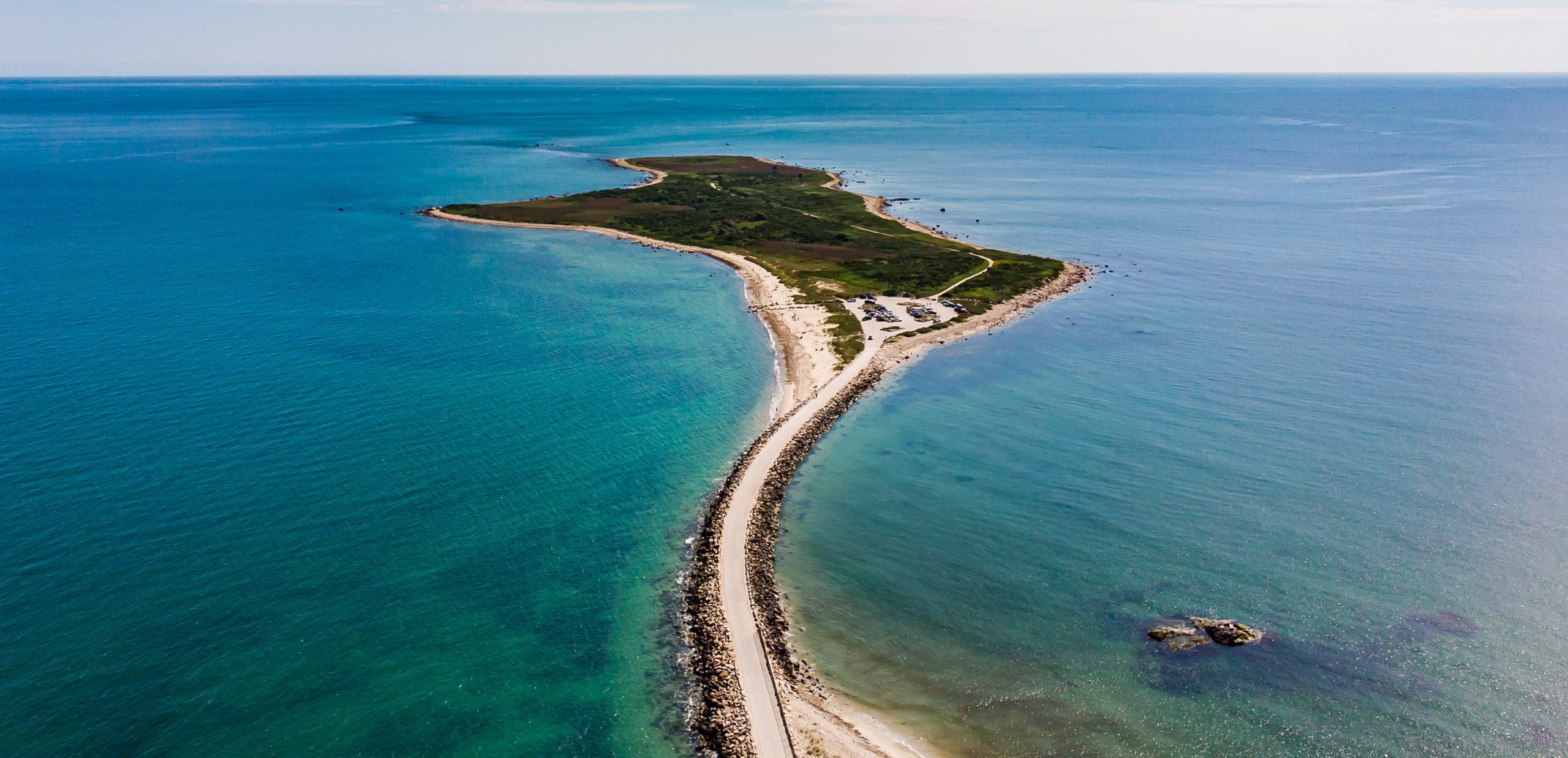 Gooseberry Study Update - Year 3 will bring some answers, and they can ...