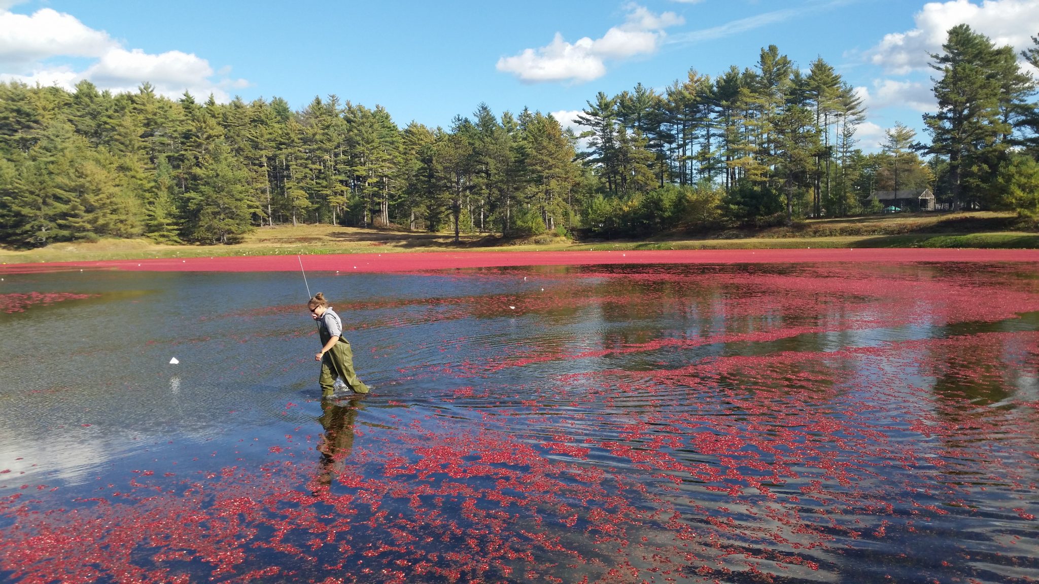 BBC and Partners Release 10 Years of Water Quality Research on ...