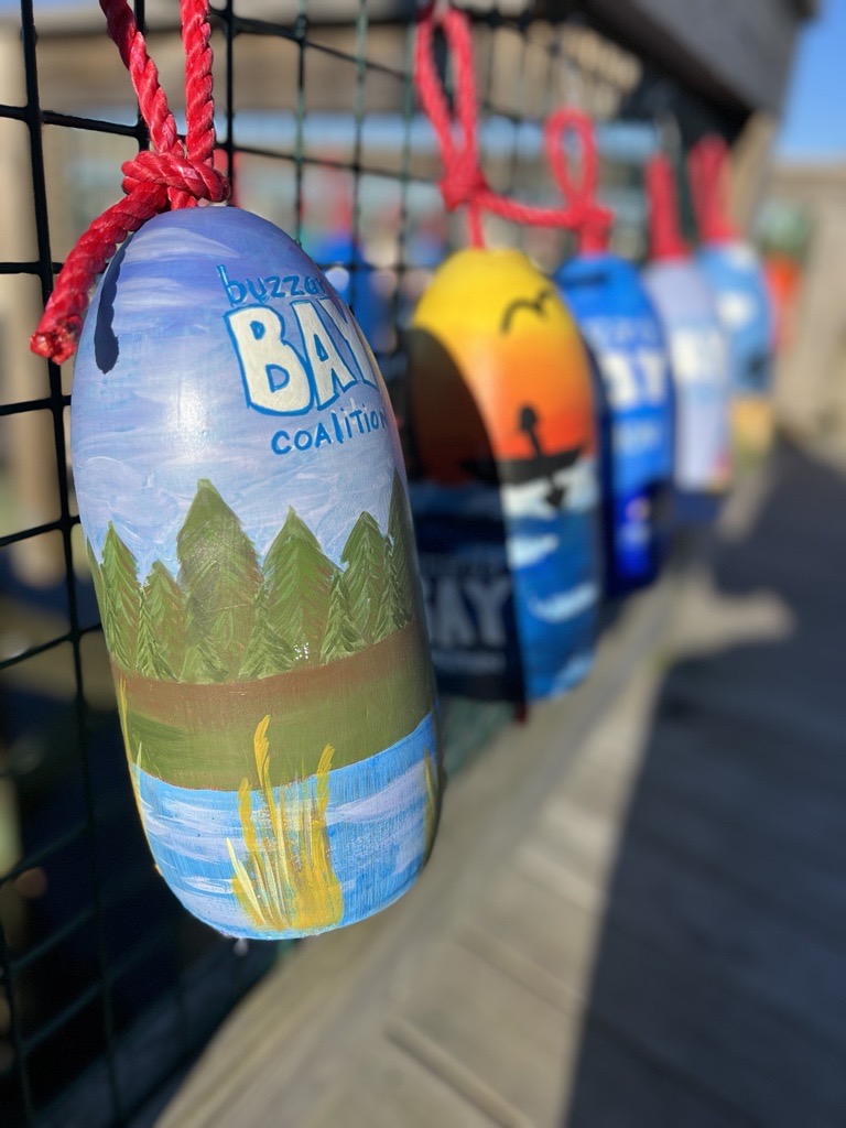 Protecting clean water in Buzzards Bay - Buzzards Bay Coalition