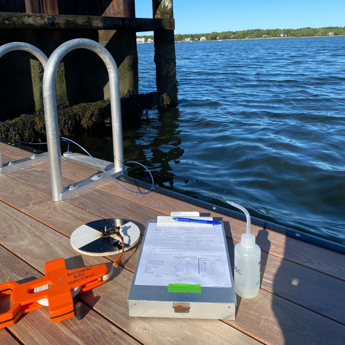 How's the Bay Doing? Results from Summer 2023 Testing Released ...